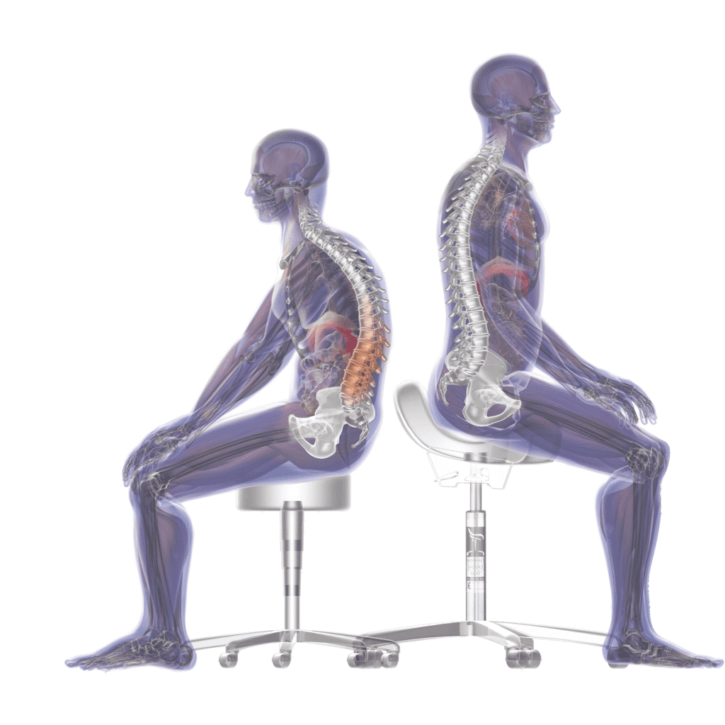 Bambach Ergonomic Saddle Stool - Back Rest and Swing Arm – Sit Healthier